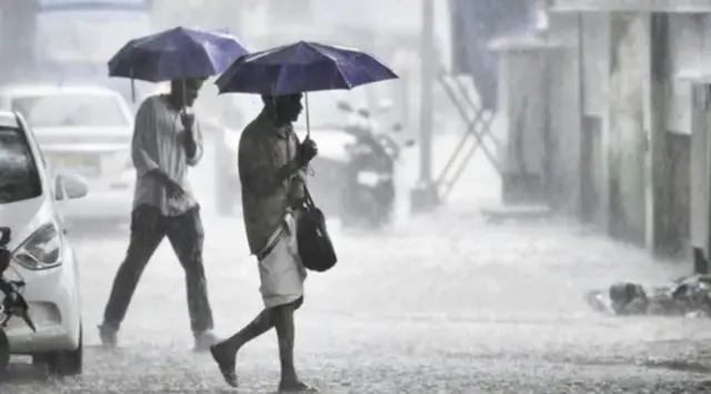 Yellow Alert in Multiple Kerala Districts as Rain Intensifies; Heavy ...