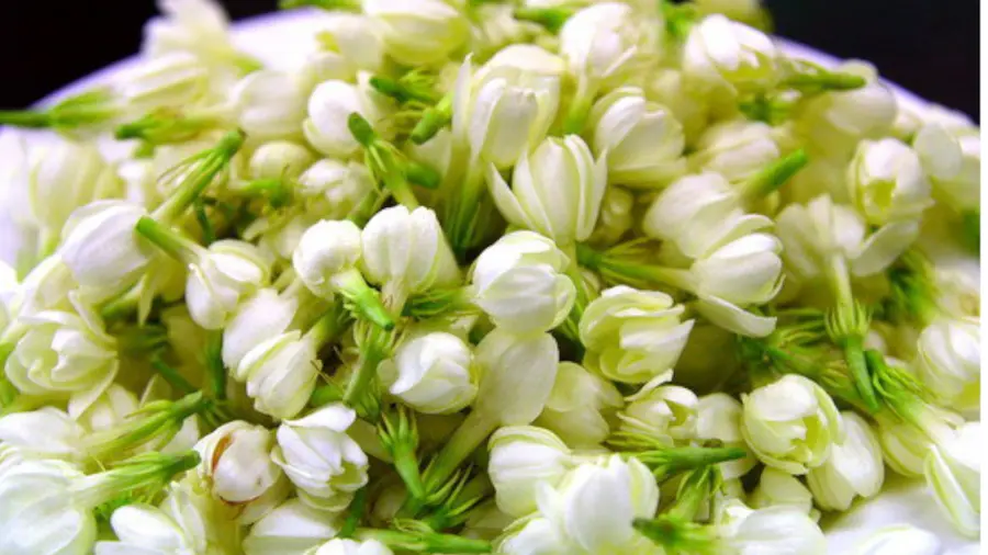 Jasmine Flowers Soar to 7,000 Rupees per Kilogram in Kerala - Deshabhimani