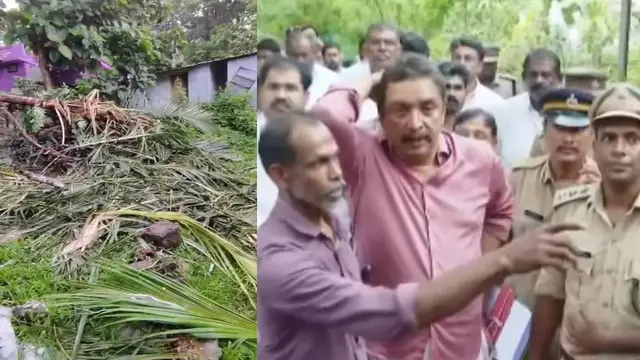 അതിരപ്പിള്ളിയിൽ കാട്ടാനയുടെ വിളയാട്ടം , കൃഷികൾ നശിപ്പിച്ചു ...